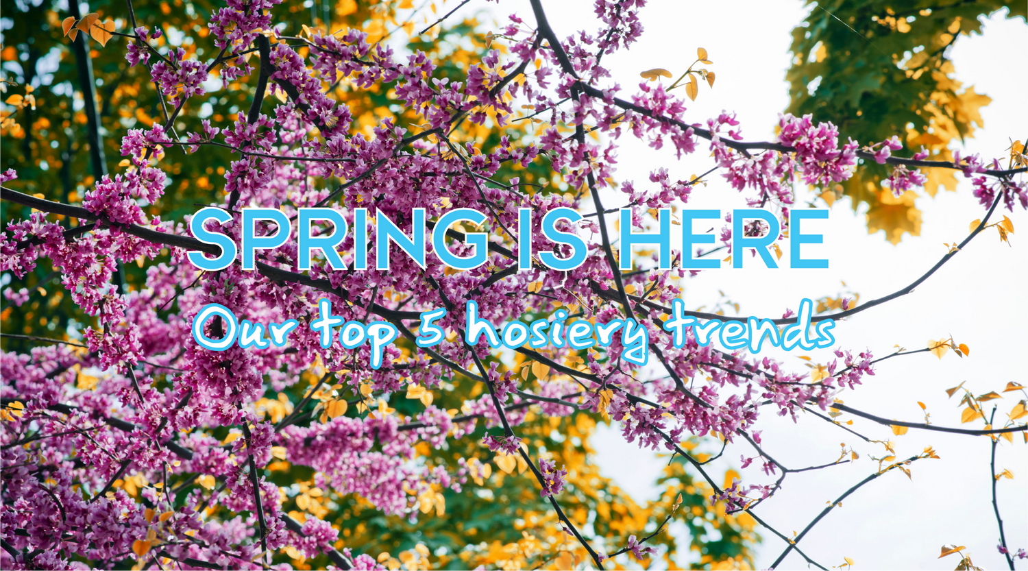 Spring Is Here! – Tights Dept.
